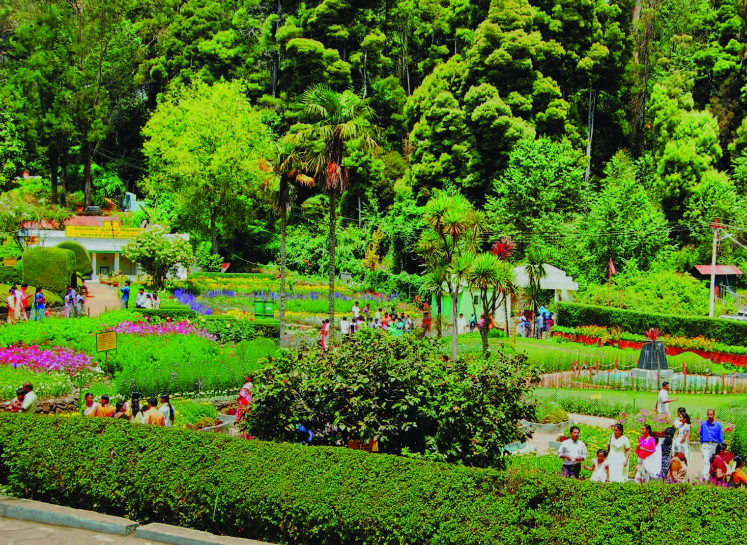 KODAIKANAL: THE HILL COUNTRY — The Indian Panorama